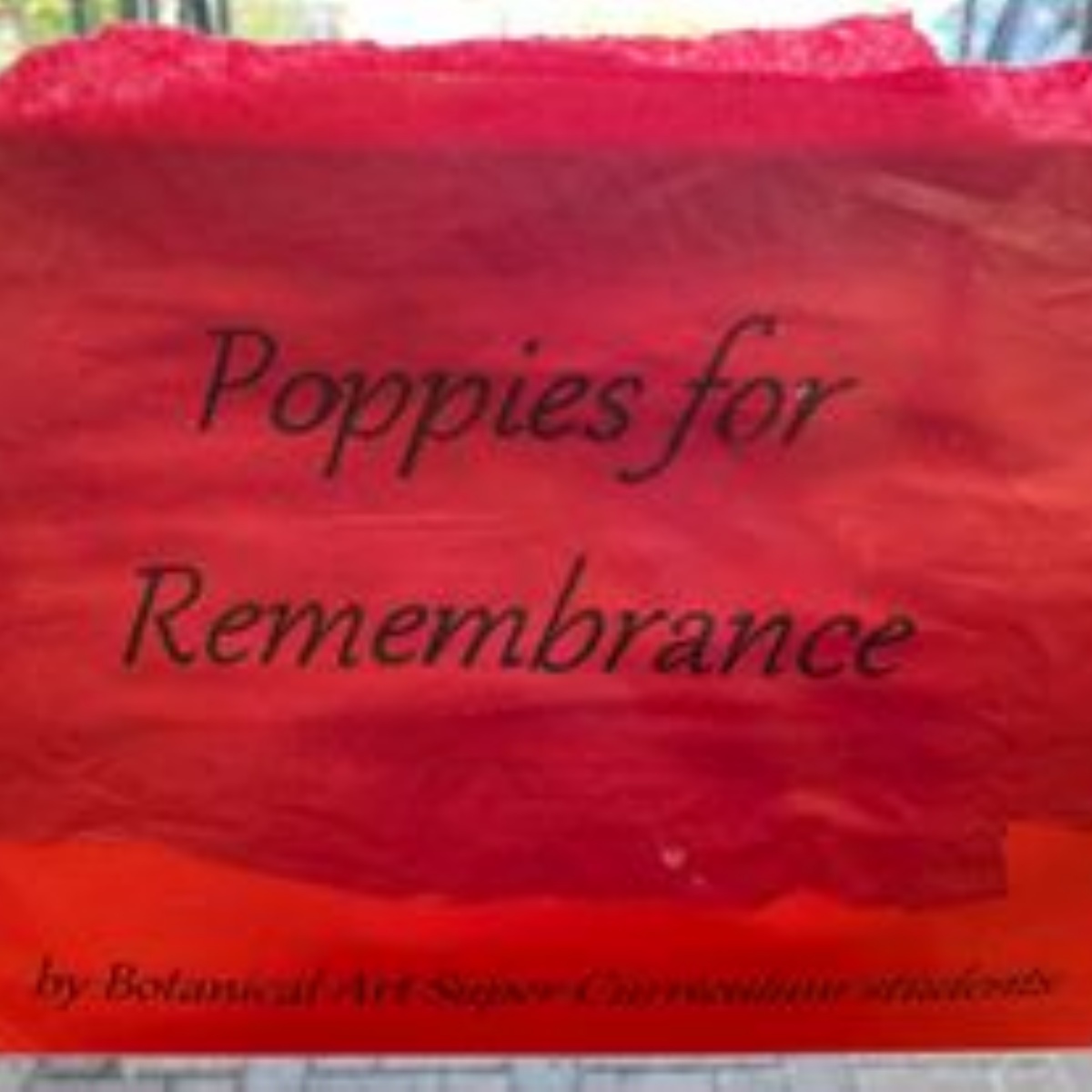 Kings Academy Ringmer - KAR Newsletter 14/11/2025